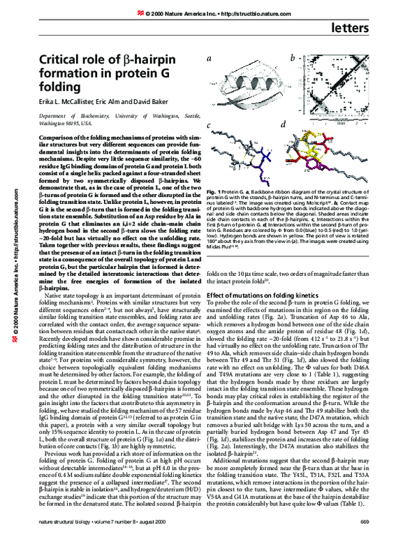(PDF) Critical role of beta-hairpin formation in protein G folding.