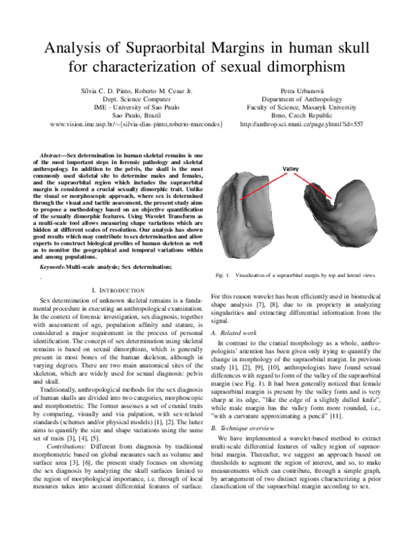 (PDF) Analysis of Supraorbital Margins in human skull for ...