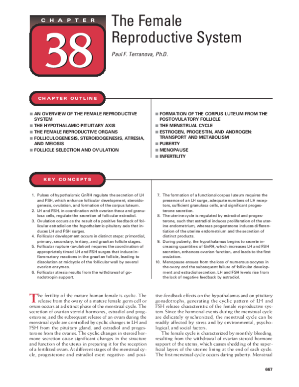 (PDF) The Female Reproductive System