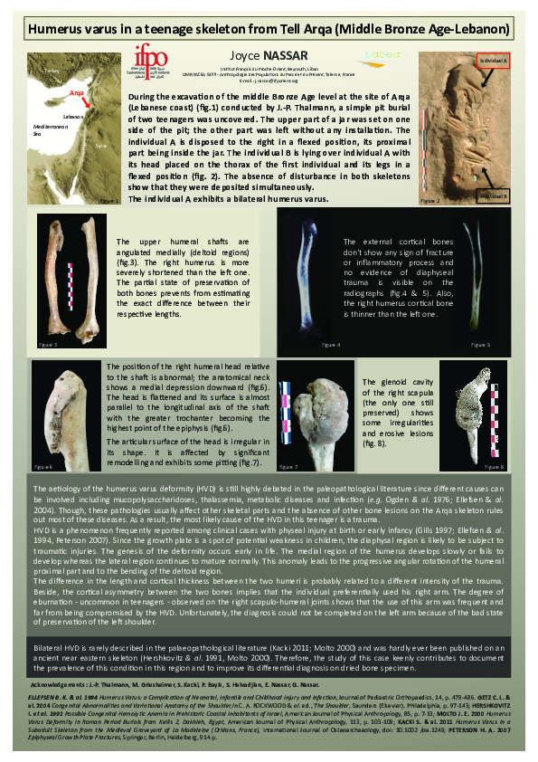 (PDF) Nassar 2012 Humerus varus in a teenage skeleton from Tell Arqa ...