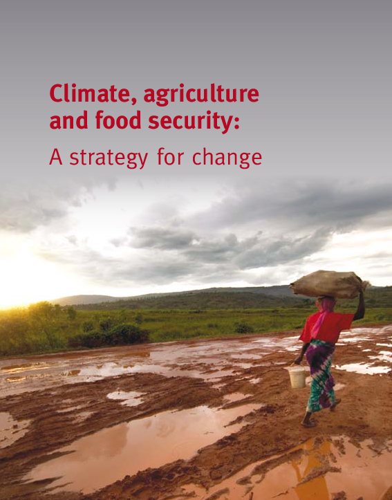 (PDF) Climate, agriculture and food security