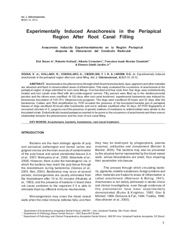(PDF) Experimentally Induced Anachoresis in the Periapical Region After ...