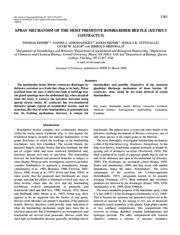 (PDF) SPRAY MECHANISM OF THE MOST PRIMITIVE BOMBARDIER BEETLE (METRIUS ...