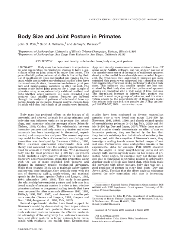 (PDF) Body Size and Joint Posture in Primates
