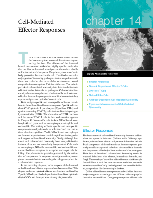 (PDF) Cell mediated immunity