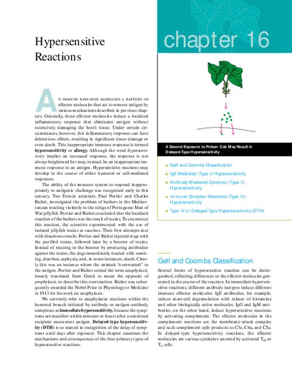 (PDF) Allergy - Hypersensitivity