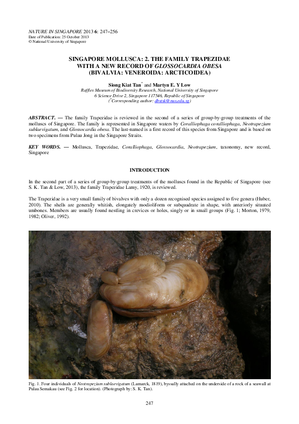(PDF) Singapore Mollusca: 2. The family Trapezidae, with a new record ...