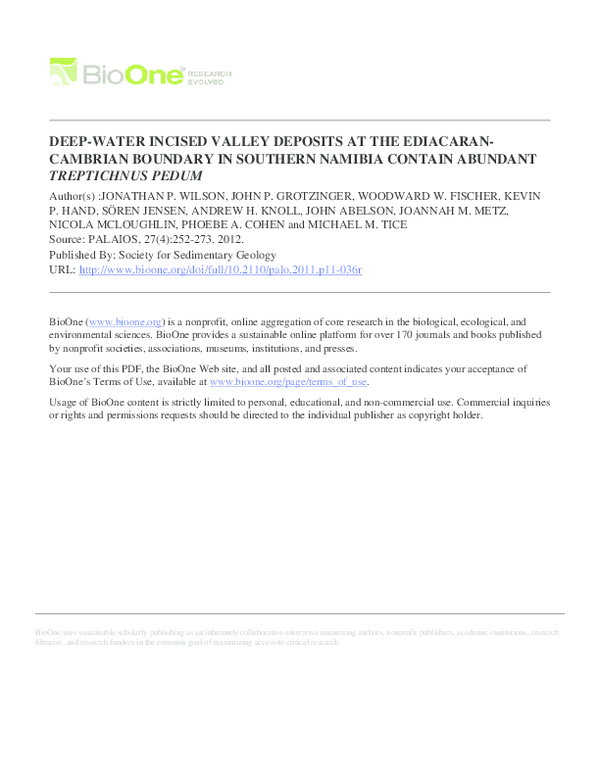 (PDF) Deep-water incised valley deposits at the Ediacaran-Cambrian ...