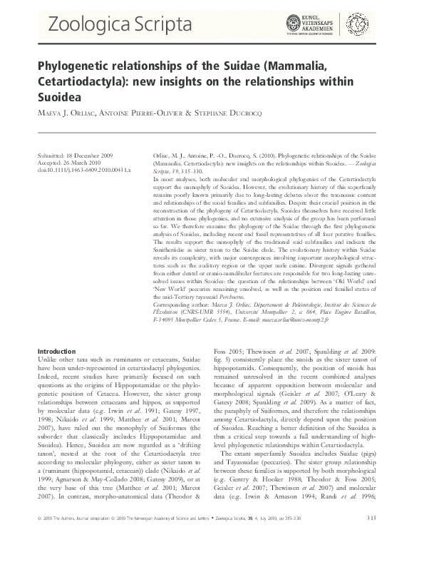 Phylogenetic relationships of the Suidae (Mammalia, Cetartiodactyla ...