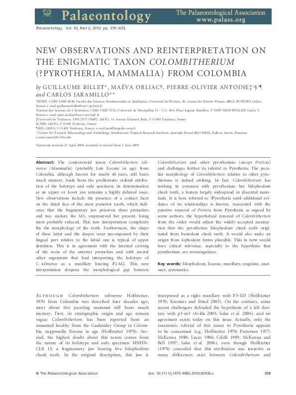 New observations and reinterpretation on the enigmatic taxon ...