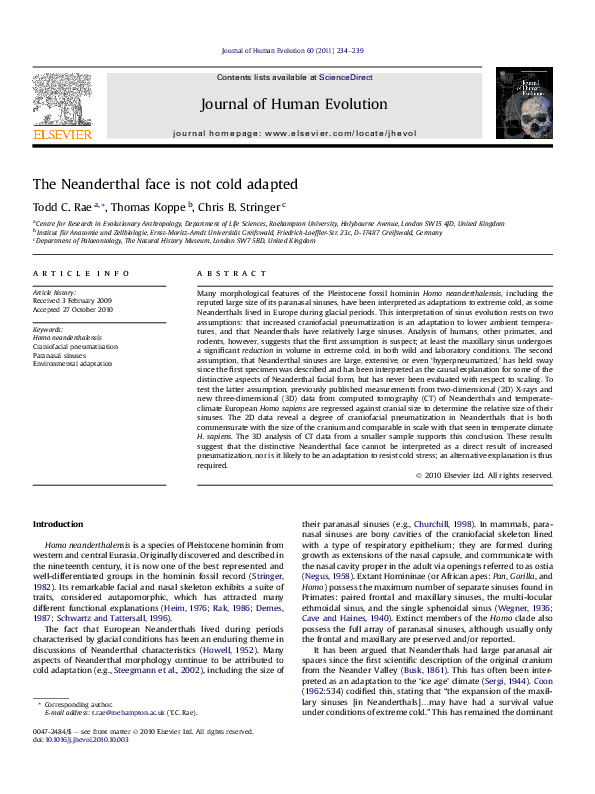 (PDF) The Neanderthal face is not cold adapted