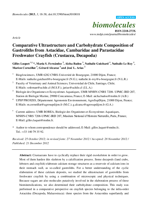 (PDF) Comparative Ultrastructure and Carbohydrate Composition of ...
