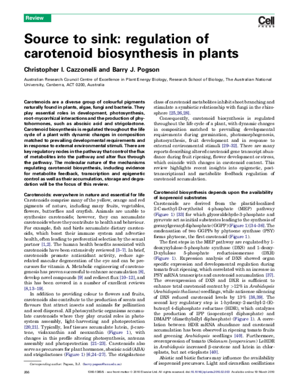 (PDF) Source to sink: regulation of carotenoid biosynthesis in plants