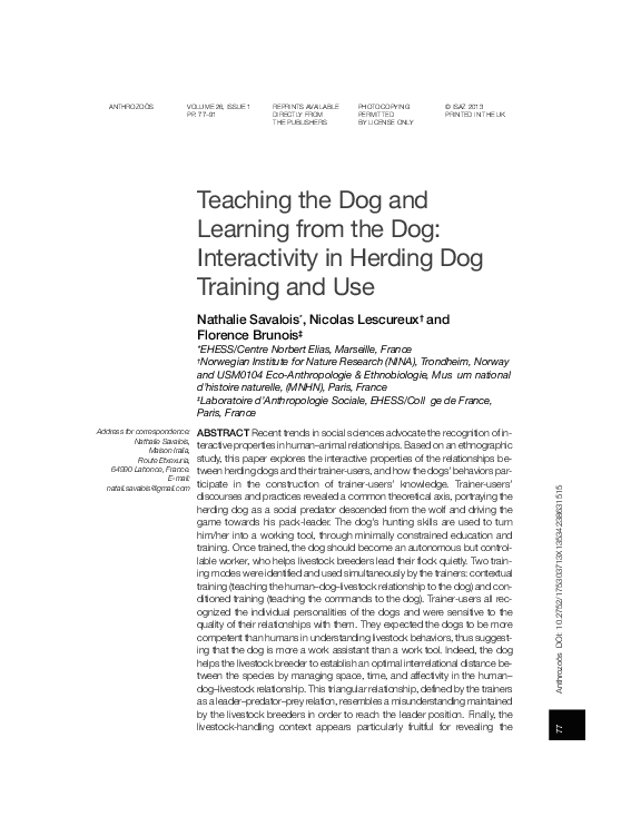 (PDF) Teaching the Dog and Learning from the Dog: Interactivity in ...
