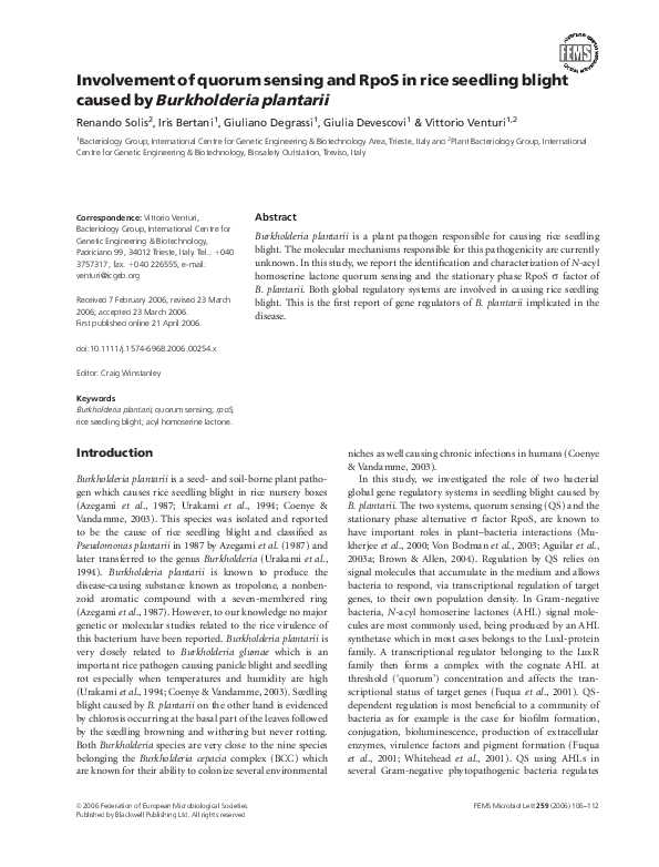 (PDF) Involvement of quorum sensing and RpoS in rice seedling blight ...