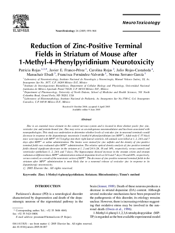 (PDF) Reduction of Zinc-Positive Terminal Fields in Striatum of Mouse ...