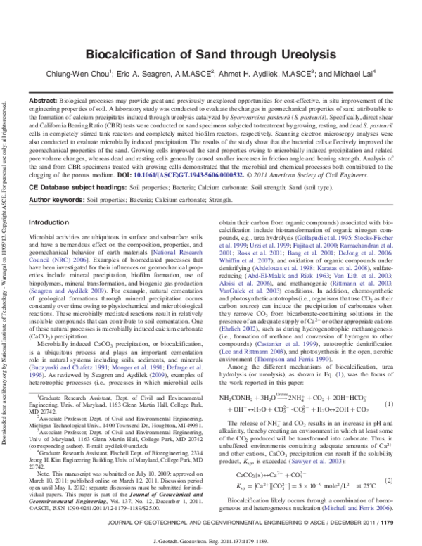 (PDF) Biocalcification of Sand through Ureolysis