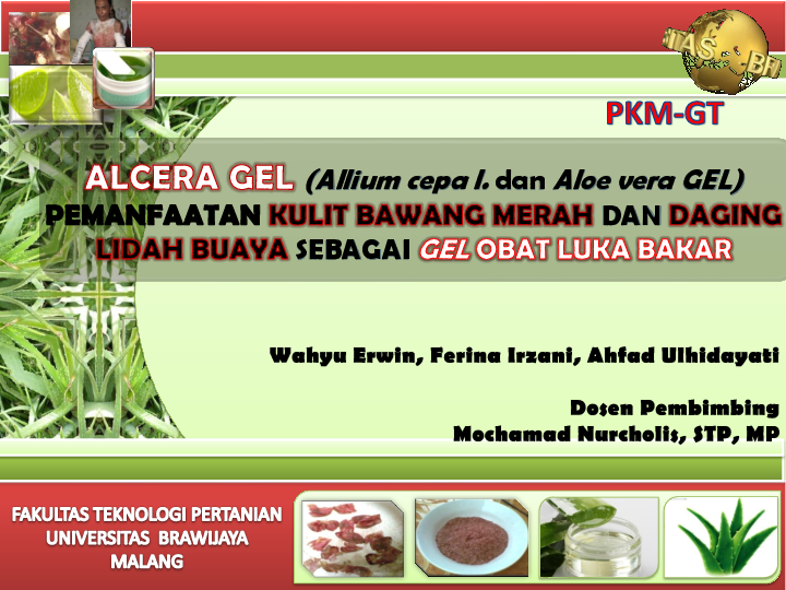 (PPT) ALCERA GEL (Allium cepa l. dan Aloe vera GEL) PEMANFAATAN KULIT ...