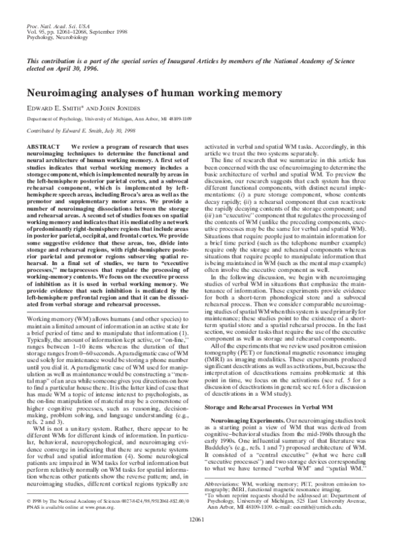 (PDF) Neuroimaging Analyses of Human Working Memory