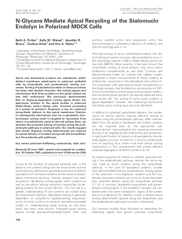 (PDF) N-Glycans Mediate Apical Recycling of the Sialomucin Endolyn in ...