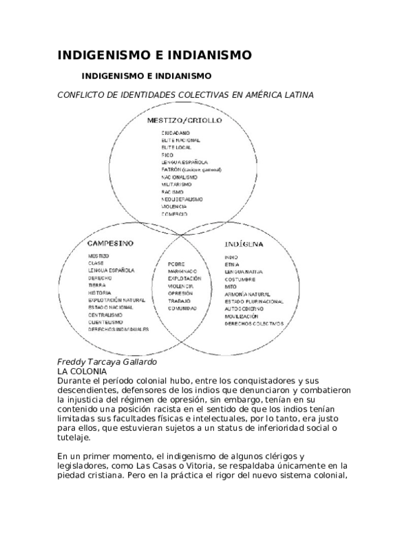 (DOC) INDIGENISMO E INDIANISMO