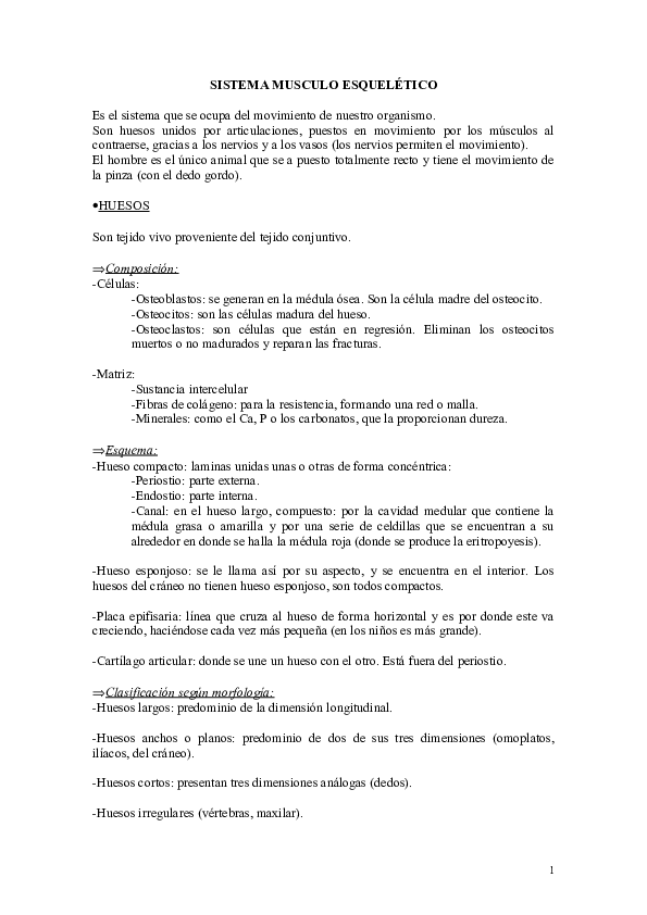 Doc Musculo Esqueletico