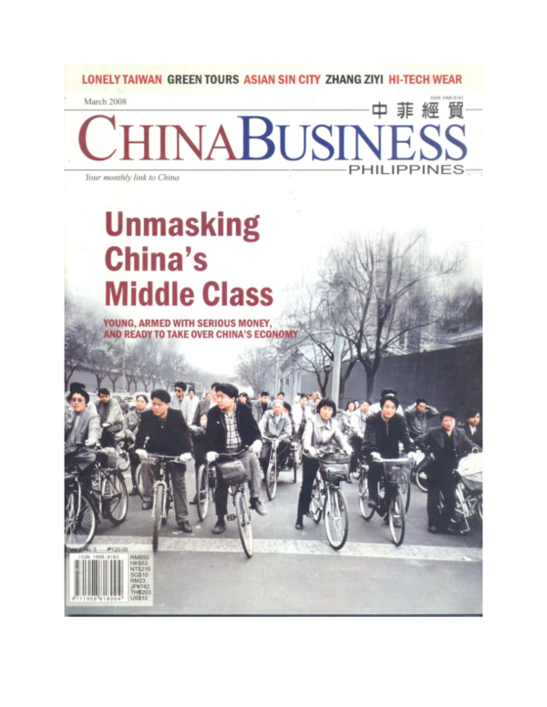 (PDF) UNDERSTANDING THE CHINESE MIDDLE CLASS