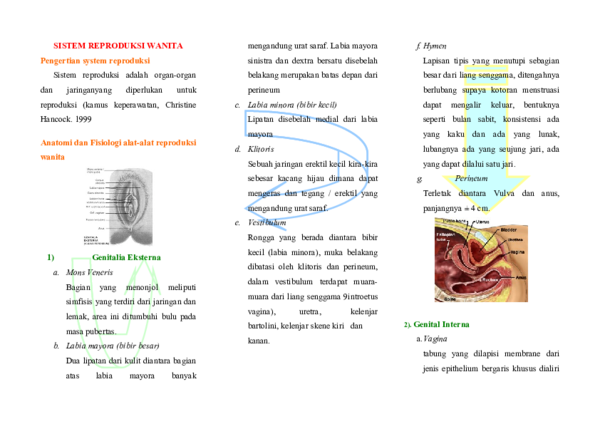 (DOC) leaflet_Sistem_Reprodsuksi_Wanita.doc