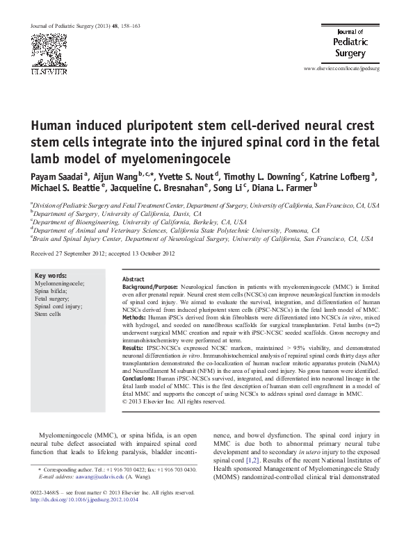 (PDF) Human induced pluripotent stem cell-derived neural crest stem cells integrate into the ...