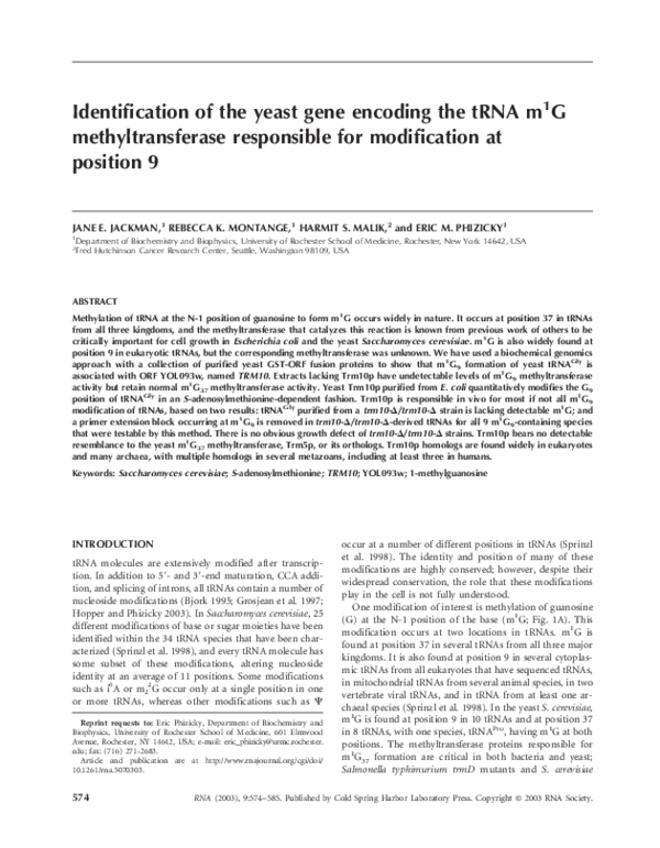 (PDF) Identification of the yeast gene encoding the tRNA m1G ...