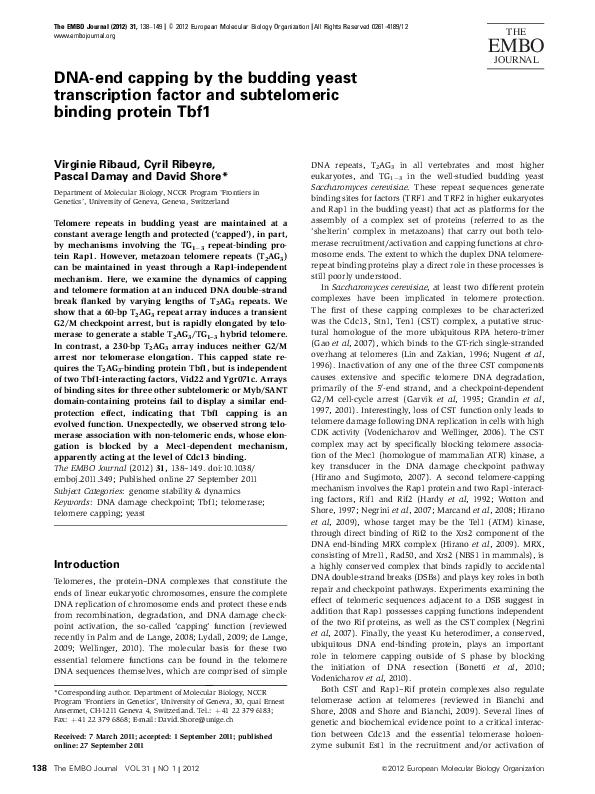 DNA-end capping by the budding yeast transcription factor and ...