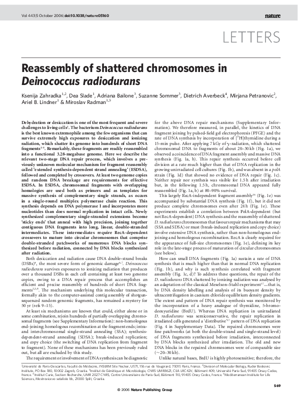 (PDF) Reassembly of shattered chromosomes in Deinococcus radiodurans