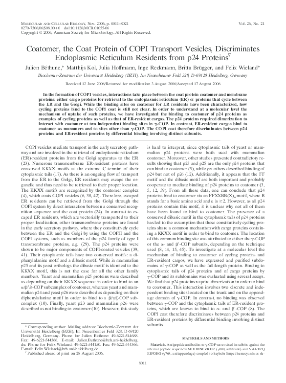 (PDF) Coatomer, the coat protein of COPI transport vesicles ...