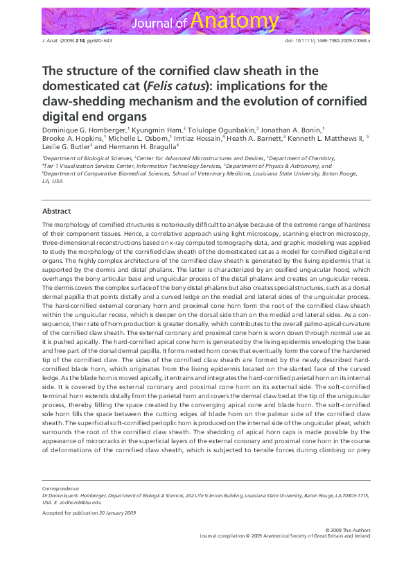 (PDF) The structure of the cornified claw sheath in the domesticated ...