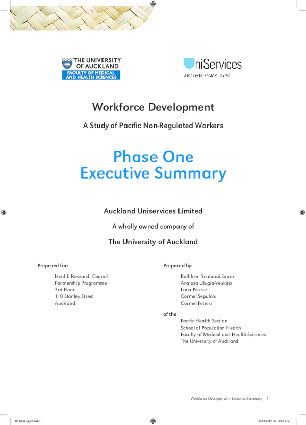 (PDF) Phase One Executive Summary