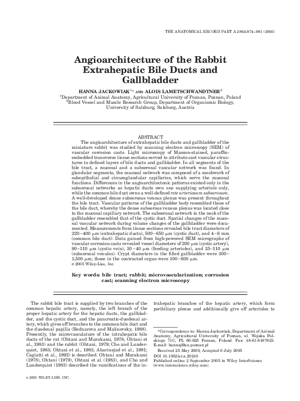 (PDF) Angioarchitecture of the Rabbit Extrahepatic Bile Ducts and ...