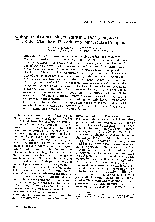 (PDF) Ontogeny of Cranial Musculature In Clarias Gariepinus (Siluroidei ...