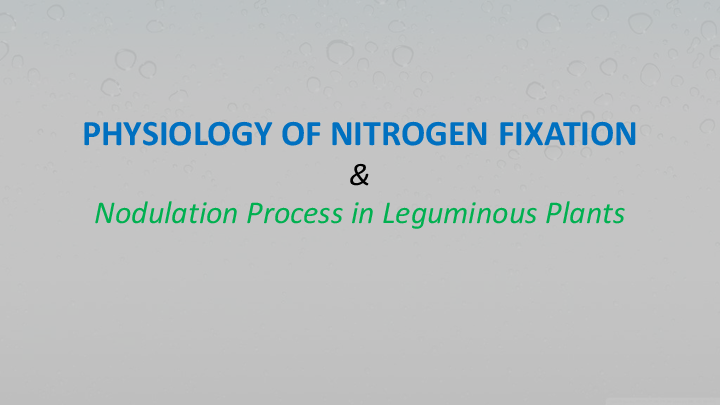 Pdf Nitrogen Fixation And The Process Of Nodulation