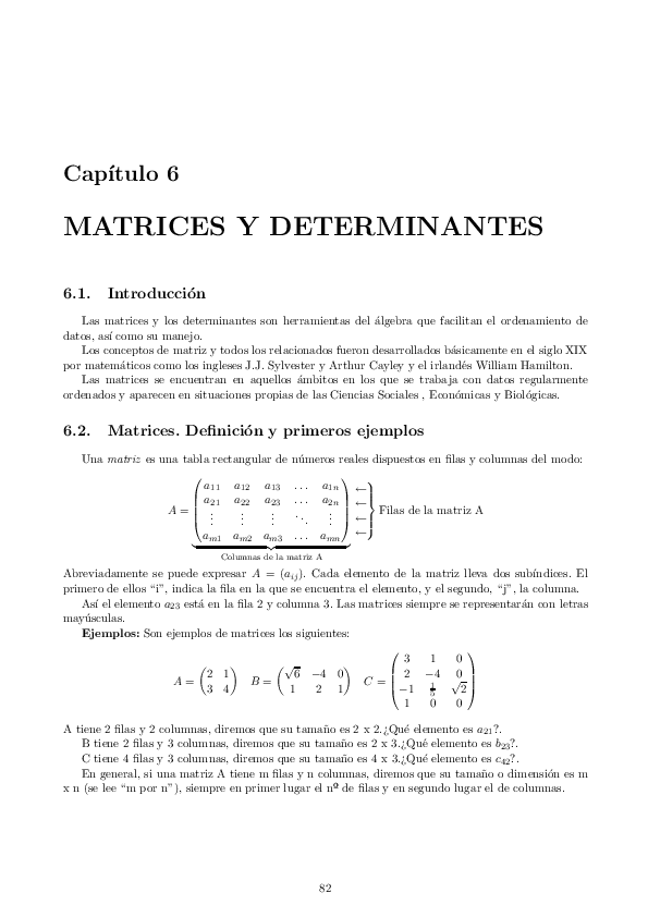 (PDF) MATRICES Y DETERMINANTES