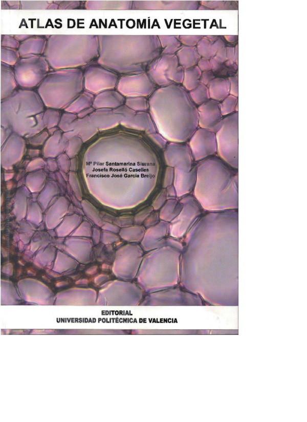 (PDF) Atlas de Anatomía Vegetal