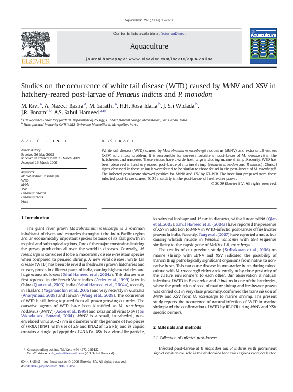 (PDF) Studies on the occurrence of white tail disease (WTD) caused by ...