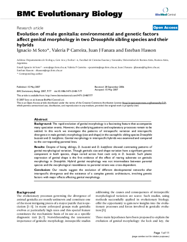 (PDF) BMC Evolutionary Biology Evolution of male genitalia ...