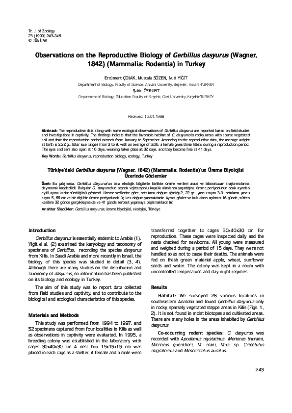 (PDF) Observations on the Reproductive Biology of Gerbillus dasyurus ...