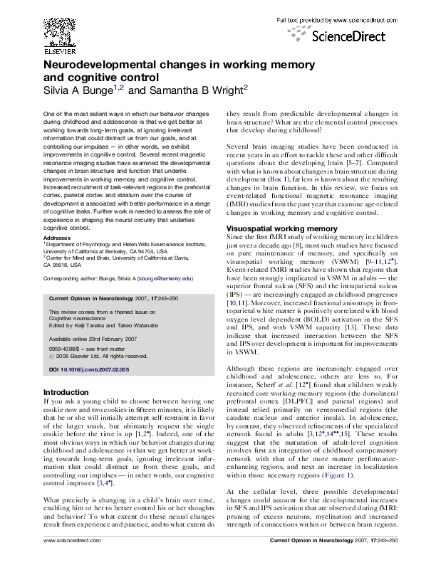 (PDF) Neurodevelopmental Changes In Working Memory and Cognitive Control