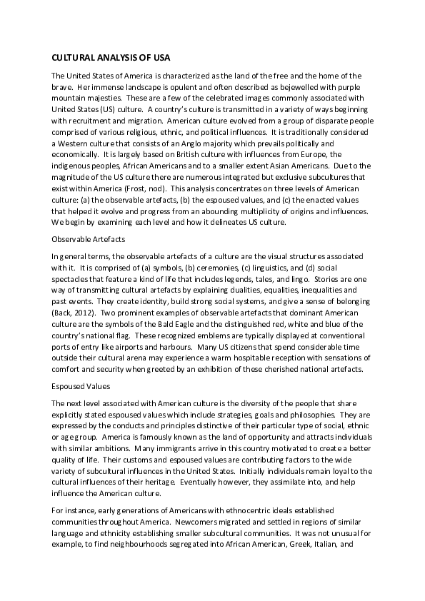 (DOC) CULTURAL ANALYSIS OF USA