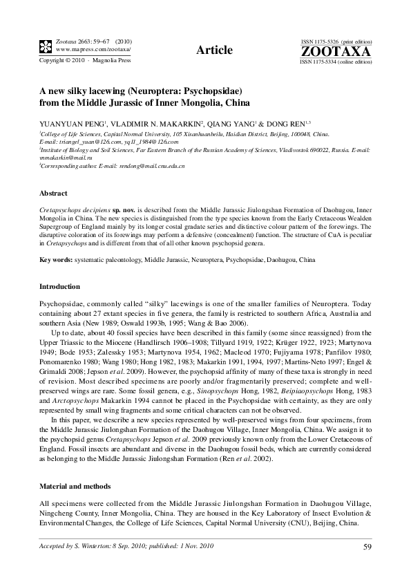(PDF) A new silky lacewing (Neuroptera: Psychopsidae) from the Middle ...