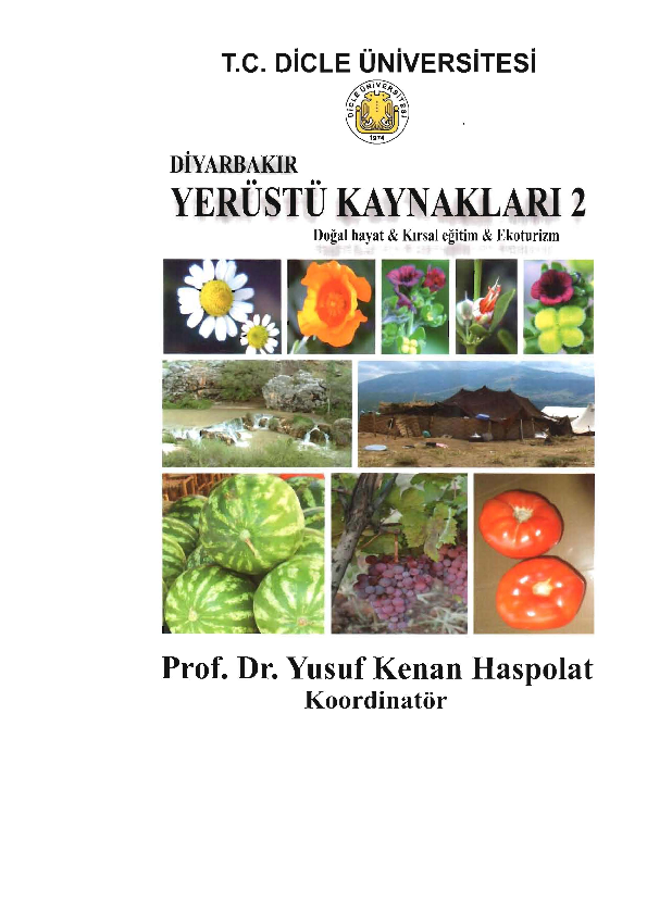 (PDF) Morphplogical and Karyological Peculiarities of Microtus ...