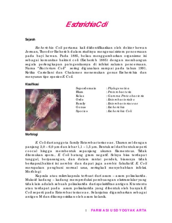 (PDF) E.coli