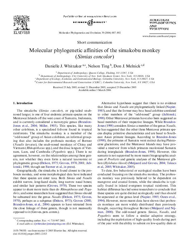 (PDF) Molecular Phylogenetic affinities of the Simakobu Monkey (Simias ...