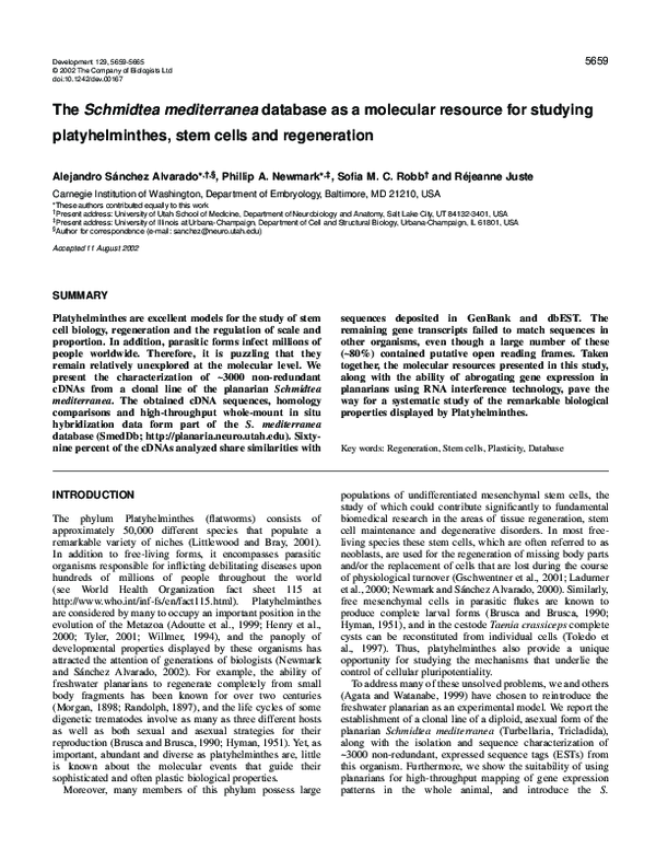 (PDF) The Schmidtea mediterranea database as a molecular resource for ...